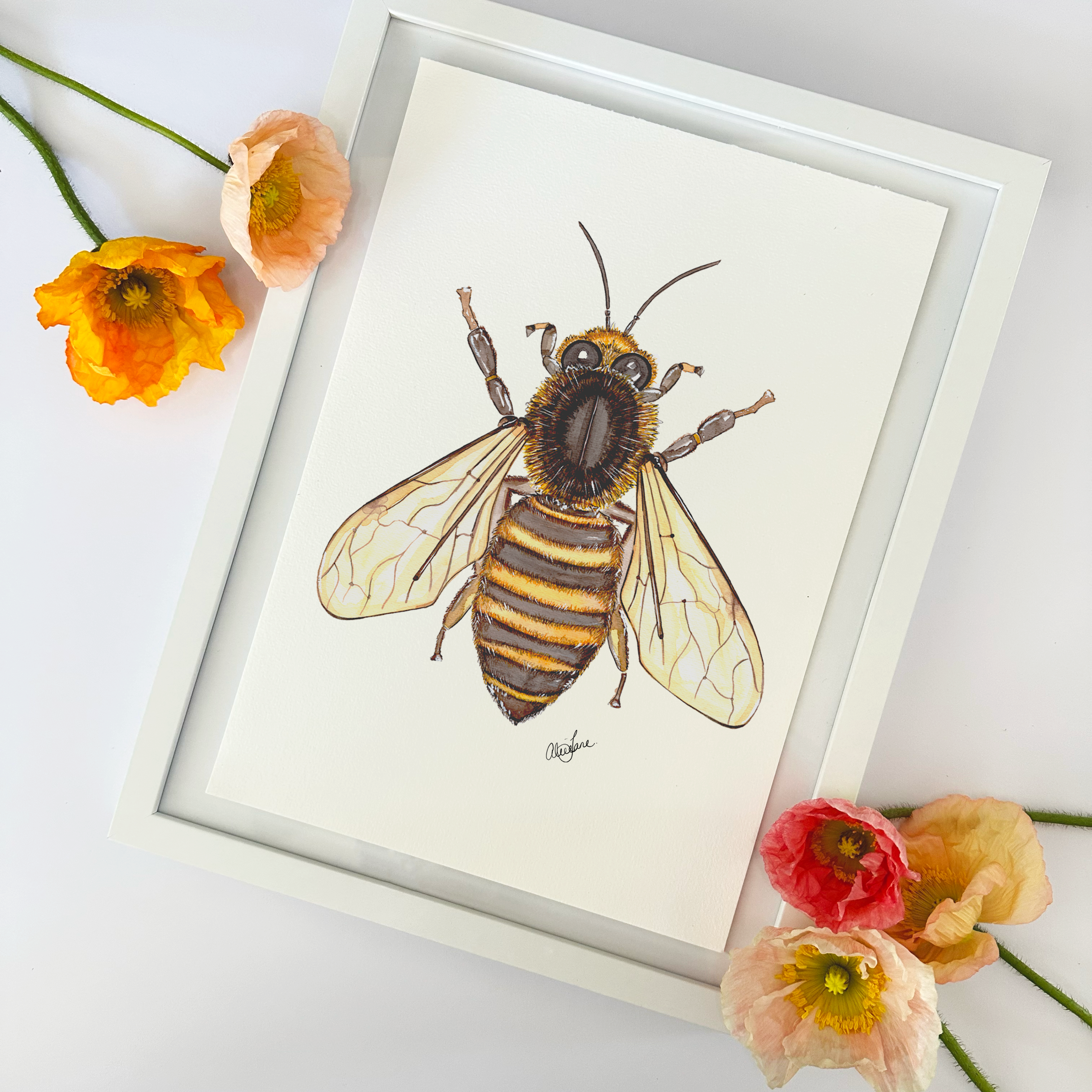 Contact – Alice Jane Art & Prints